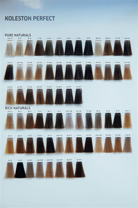 Wella 6 Josie Loves Kurze Haarfarbe Balayage Braune Haare Rosa