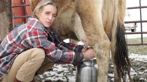 Hucow Dairy