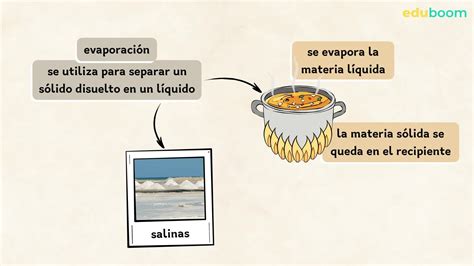 Sustancias Puras Y Mezclas Ciencias De La Naturaleza 4 Primaria