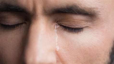 Sólo Tengo Ganas de Llorar y Desaparecer