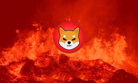Million Shiba Inu Burnt In Hours Burn Rate Up