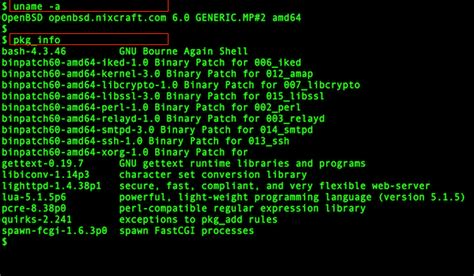 openbsd install or add binary software package using pkg add nixcraft