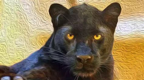 Interpretacja Snów Czarna Puma Co Oznacza Ten Sen
