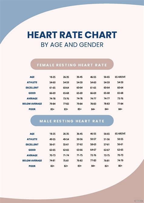 Free Heart Rate Chart By Age And Gender Pdf Template Net Artofit