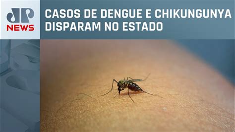 Rio De Janeiro Registra Primeira Morte Por Dengue Em 2023 YouTube