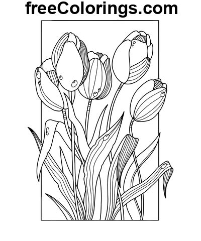 Tulpan Blommor Handteckning Gratis utskrivbara målarbok