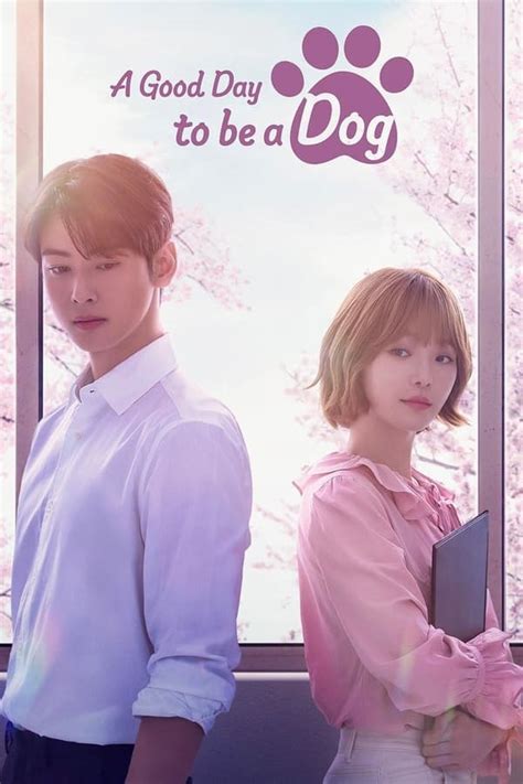 5 motivos para assistir a Mulheres Asiáticas no E Entertainment