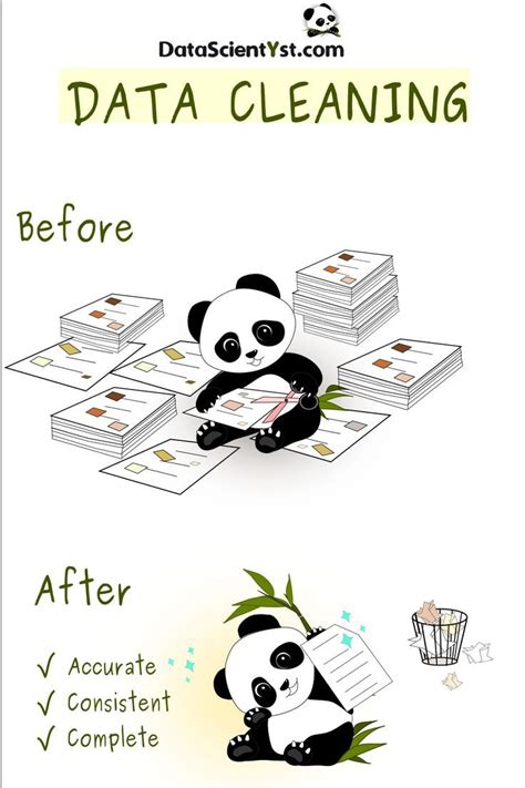 Data Cleaning Steps With Python And PandasThis Tutorial Explains The
