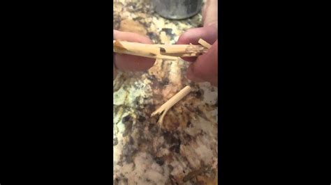 Do Termites Eat Bamboo Flooring Flooring Ideas