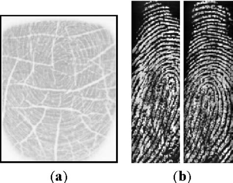 figure 2 from fingerprint identification using sift based minutia descriptors and improved all