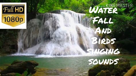 Waterfall And Relaxing Birds Singing 1080p YouTube
