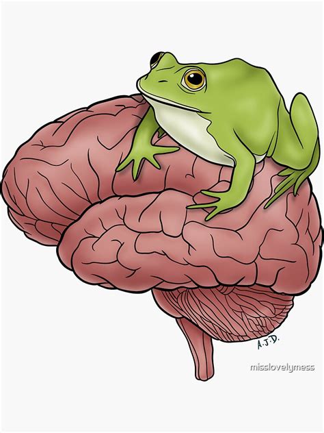 Brain Frog Sticker For Sale By Misslovelymess Redbubble