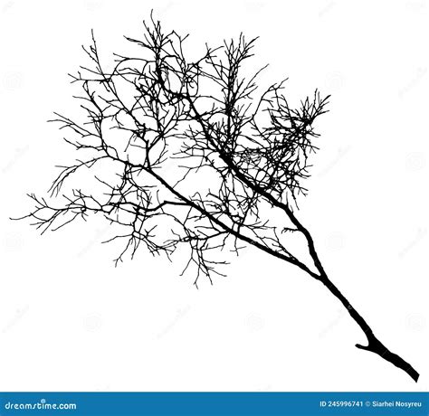Bare Branch Of Tree Silhouette Vector Illustration Stock Vector