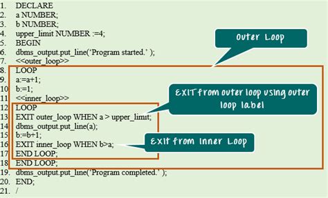 oracle pl sql loop with example