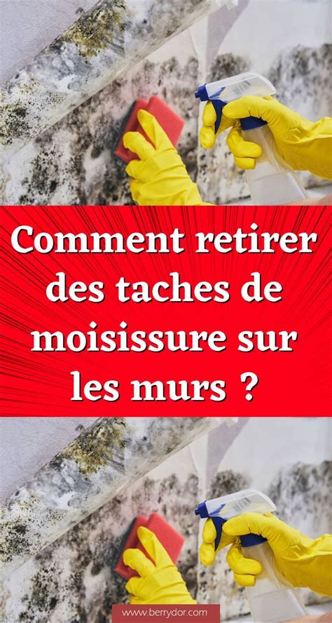 Comment Retirer Des Taches De Moisissure Sur Les Murs Artofit