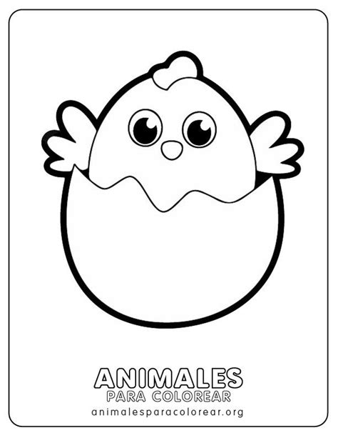Pollitos Para Colorear Descargar E Imprimir Gratis