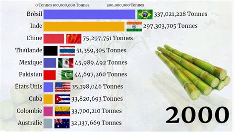 Top 10 des plus grands pays producteurs de canne à sucre dans le monde