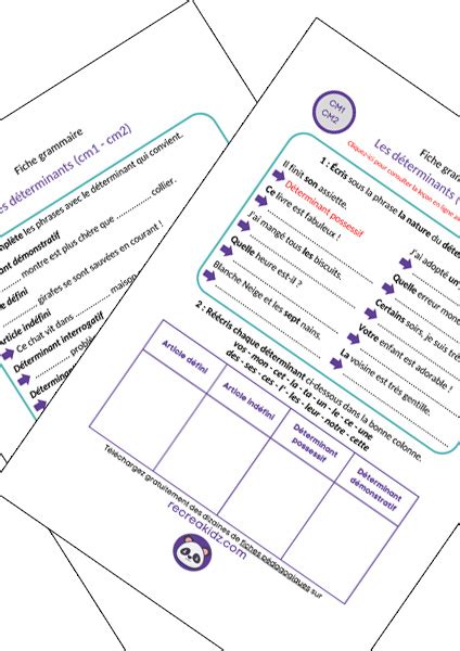 Exercices Grammaire CM1 CM2 à imprimer en PDF gratuit Évaluation