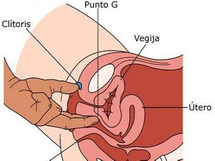 Squirt Eyaculación femenina Poringa