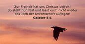 19 Bibelverse über Freiheit DailyVerses net