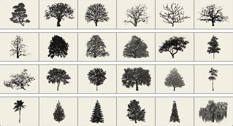 Free Tree Brushes For Photoshop Innaw