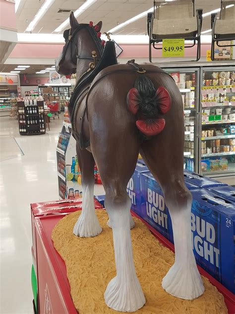 Definitely Made Me Look Twice Prolapsed Anus Or Holiday Bow Rfunny