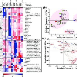 Hierarchical Clustering And Principal Component Analysis PCA Of