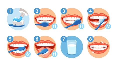 Esquema Passo A Passo Instru Es Sobre Como Escovar Os Dentes