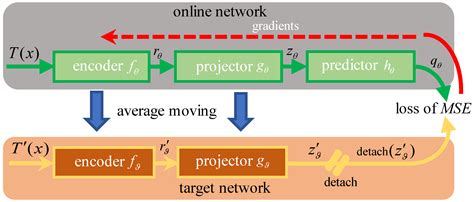remote sensing free full text nearest neighboring self supervised learning for hyperspectral