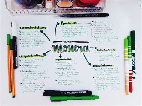 Mapa Mental Do Reino Monera Artofit