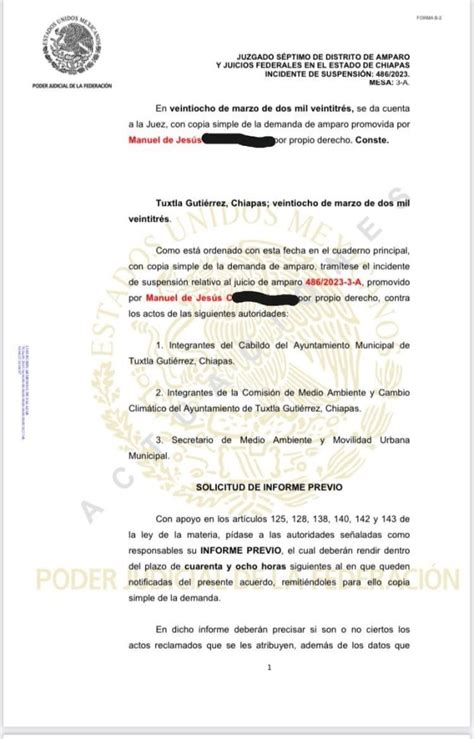 Otorga juez suspensión provisional a tala de 485 árboles en la zona de