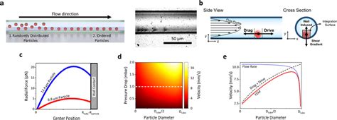 theoretical framework a schematics of microfluidic inertial particle download scientific