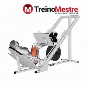 10 Melhores exercícios unilaterais para o treino de pernas e glúteos