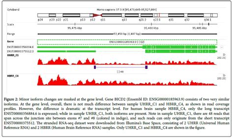 nnext generation sequencing applications minor isoform masked gene level