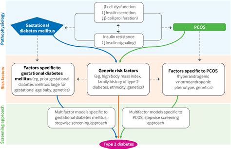 Diabetes Detection In Women With Gestational Diabetes And Polycystic