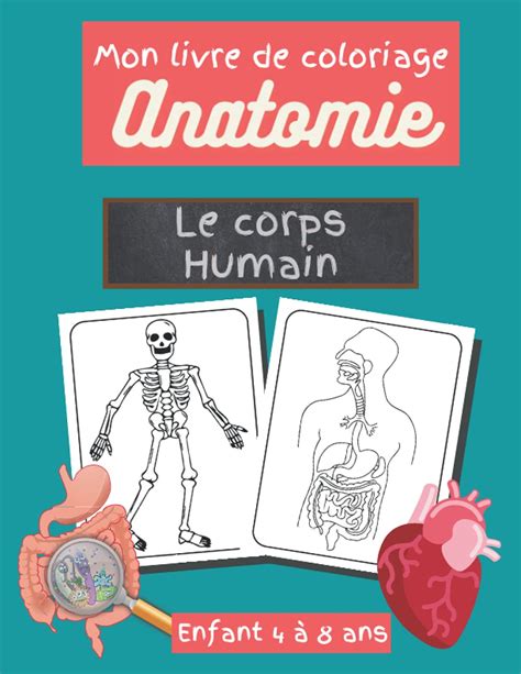 Buy Mon Livre De Coloriage Anatomie Le Corps Humain Enfants