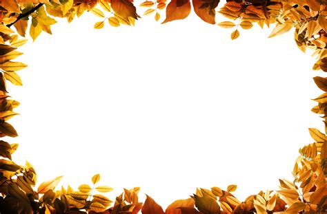 Fall Leaf Border Png Png Image Collection The Best Porn Website