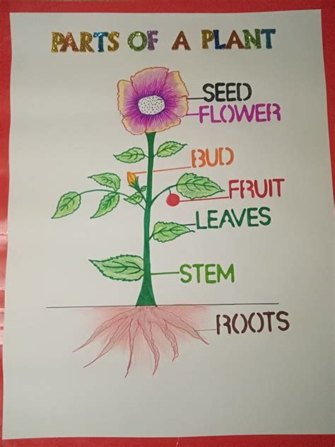 Top Parts Of Plants Images Amazing Collection Parts Of Plants