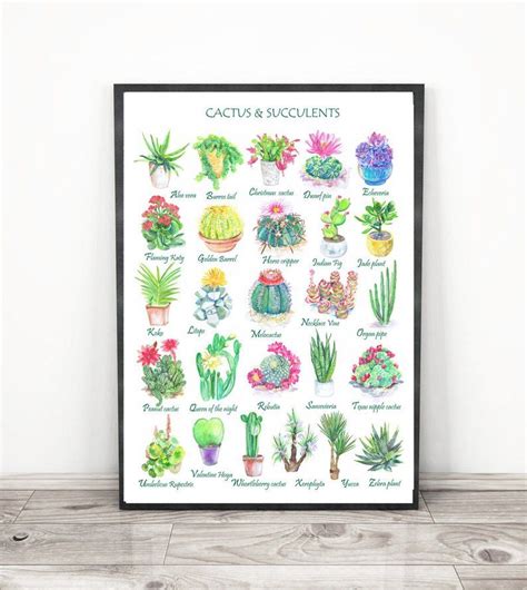 Cactus Succulent Alphabet Poster Watercolor Painting Abc Wall Etsy