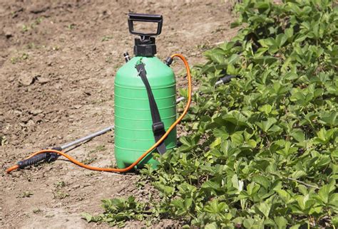 Peut on utiliser leau de javel pour désherber Gamm vert