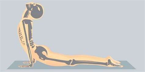 Hérnia de Disco Os 14 Exercícios de Pilates mais Indicados