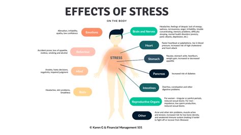 Stress Effects On Human Body Chart