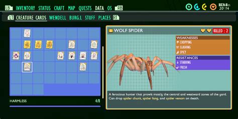 Grounded Wolf Spider Strategy Feetarchitect