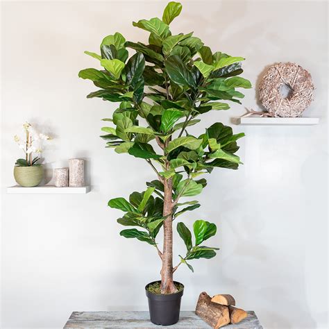 Kunstplanten Groot Kunstplantspecialist