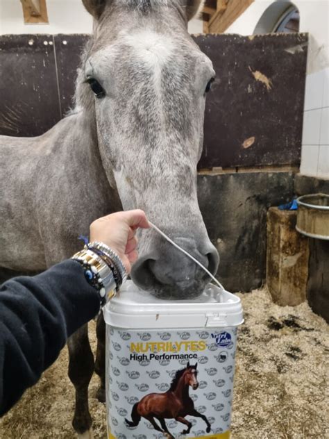 Produkttest Nutrilabs Nutrilytes High Performance Equidocsequidocs