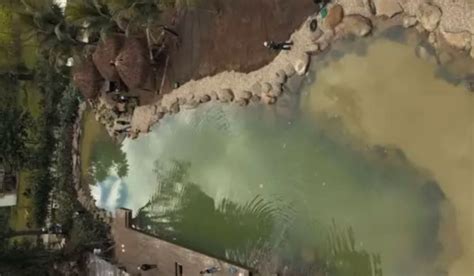 Entenda por que Neymar foi multado em R 16 milhões por obra em lago