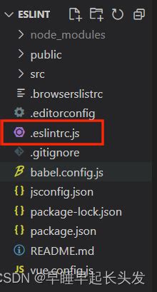 ESLintESLint的安装配置及vscode插件 vscode eslint CSDN博客