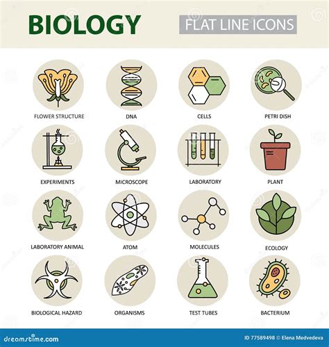 Sistema De Iconos Lineares Modernos Con Los Elementos De La Biología