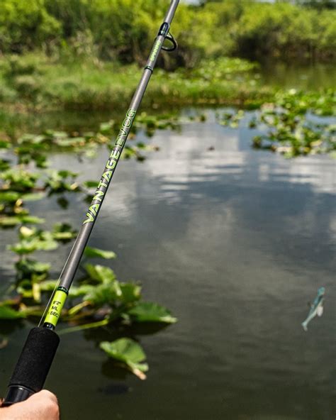 CAÑA MUSTAD VANTAGE EVOQ SPIN 68 12 A 25LB Dismar Guatemala