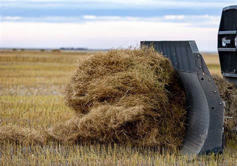 Flax Pellet Plans Move Back To Saskatchewan The Western Producer